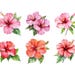 Watercolor Hibiscus Clipart Bundle, Hibiscus Png, Flower Clip Art ...