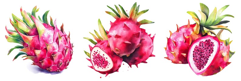 Watercolor Dragon Fruit Clipart Bundle, Dragon Fruit Png, Fruit Clip ...