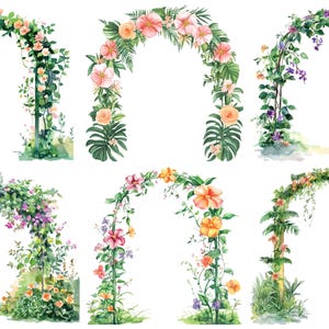Watercolor Summer Arch Clipart, Png Bundle, Clip Art Illustration ...