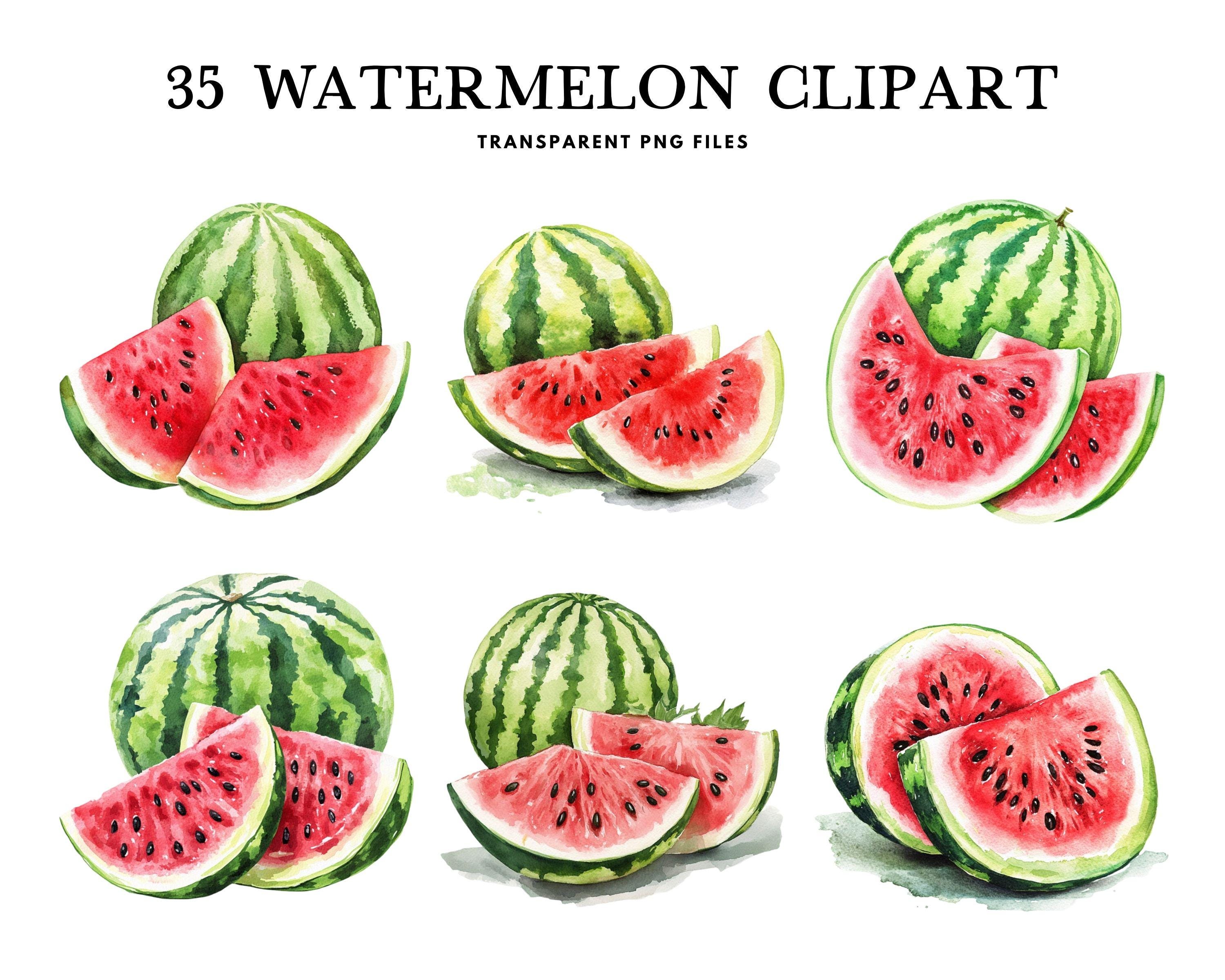 Watercolor Watermelon Clipart, Watermelon Png Bundle, Fruit Clip Art ...