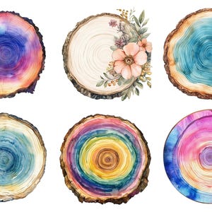 Watercolor Wood Slice Clipart, Wood Png Bundle, Clip Art, Tree Ring ...