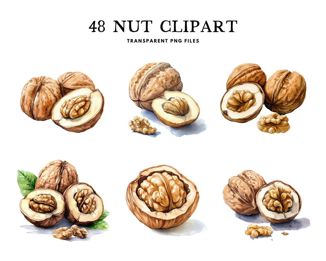 Watercolor Nut Clipart, Png Bundle, Clip Art, Illustration, Design ...