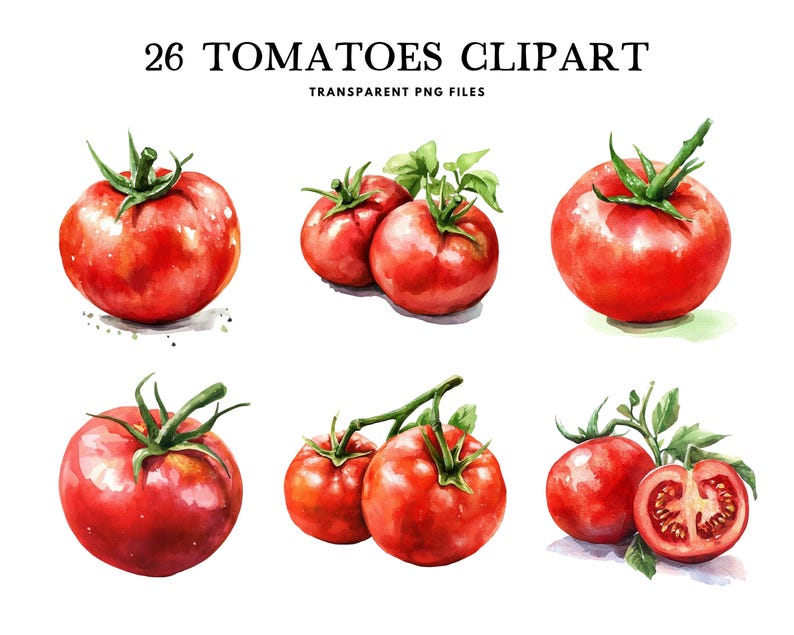 Watercolor Tomatoes Clipart, Png Bundle, Vegetable Clip Art ...