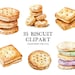 Watercolor Biscuit Clipart Bundle, Biscuit Png, Cookie Clip Art ...
