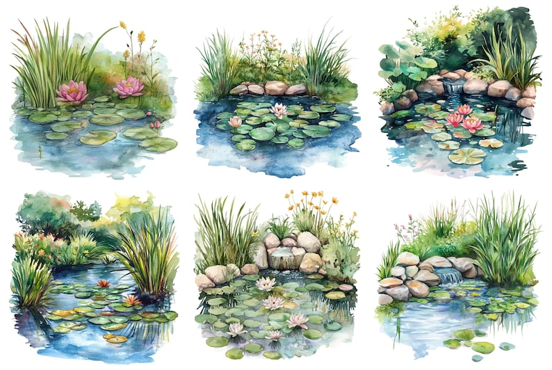 Watercolor Pond Clipart, Png Bundle, Garden Clip Art, Illustration ...