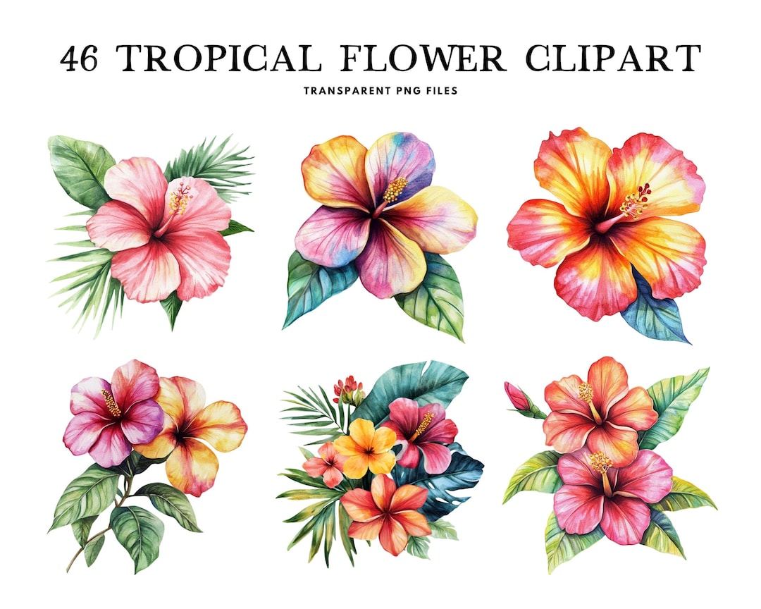 Watercolor Tropical Flower Clipart Bundle, Tropical Png, Floral Clip ...