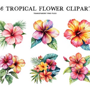 Watercolor Tropical Flower Clipart Bundle, Tropical Png, Floral Clip ...