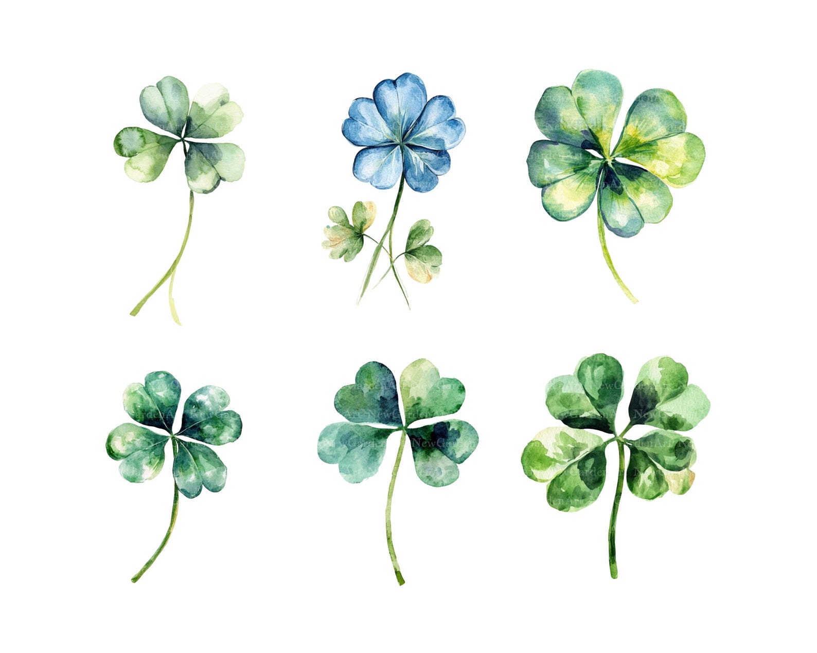 Watercolor Clover Clipart Bundle, Clover Png, Shamrock Clip Art, Four ...
