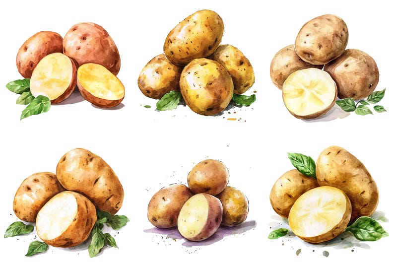 Watercolor Potatoes Clipart, Png Bundle, Vegetable Clip Art ...
