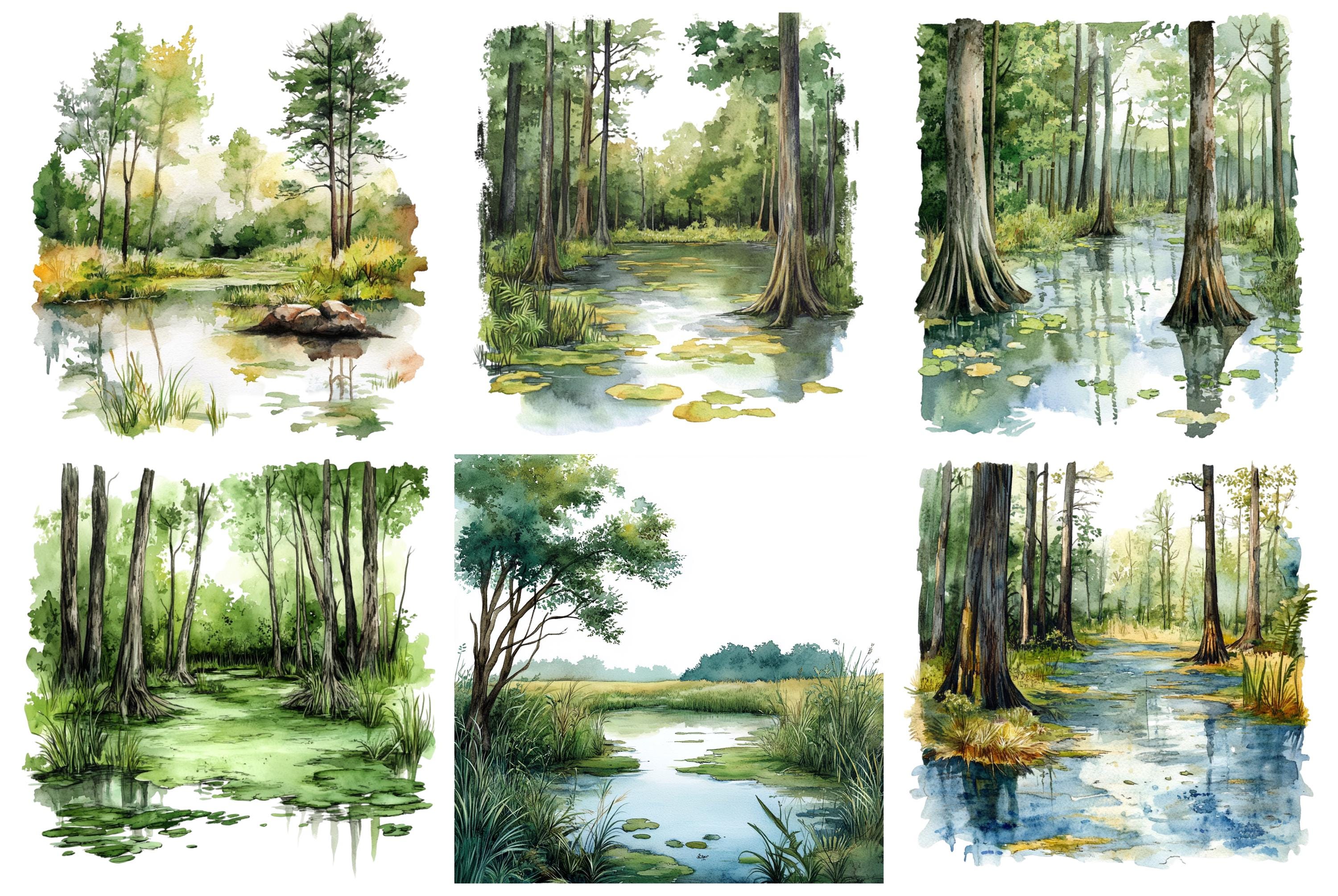 Watercolor Swamp Clipart, Png Bundle, Landscape Clip Art, Wetland ...