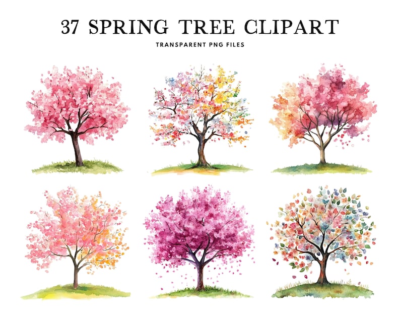 Watercolor Spring Tree Clipart, Png Bundle, Clip Art, Illustration ...