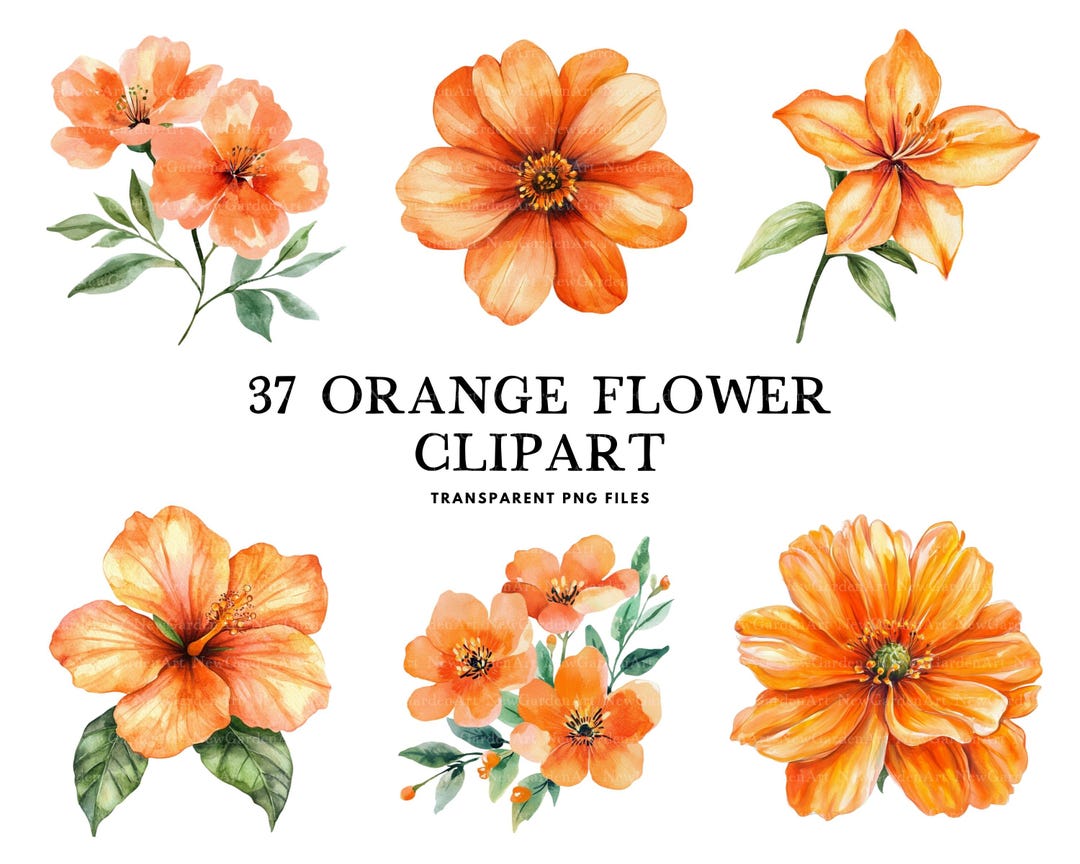 Watercolor Orange Flower Clipart Bundle, Orange Flower Png, Floral Clip ...