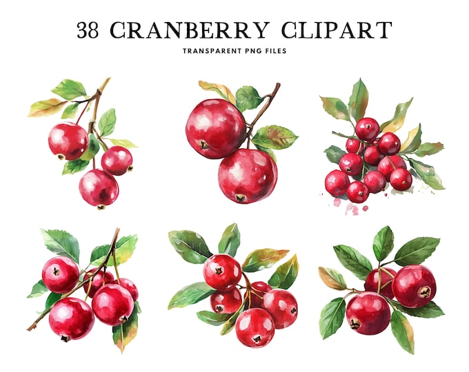 14 Cranberry Clipart Bundle, Cranberry Branch Illustrations, Printable ...