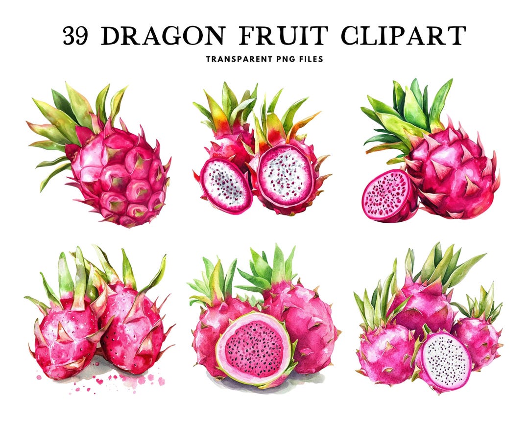 Watercolor Dragon Fruit Clipart Bundle, Dragon Fruit Png, Fruit Clip ...