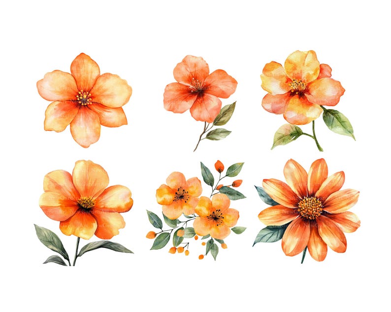 Watercolor Orange Flower Clipart Bundle, Orange Flower Png, Floral Clip ...