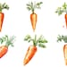 Watercolor Carrot Clipart, Carrot Png Bundle, Vegetable Clip Art ...