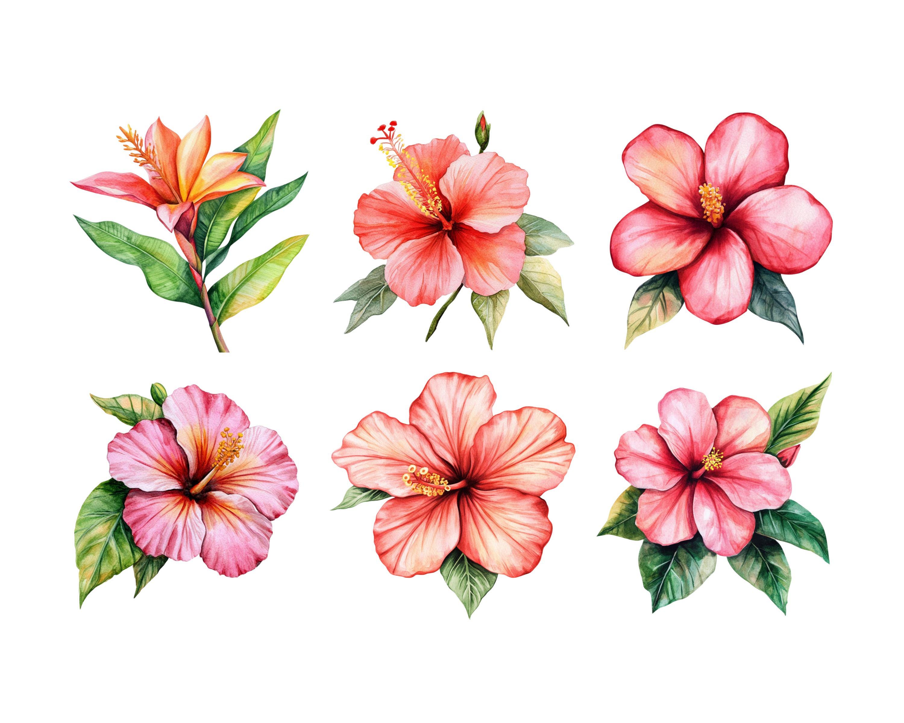 Watercolor Tropical Flower Clipart Bundle, Tropical Png, Floral Clip ...