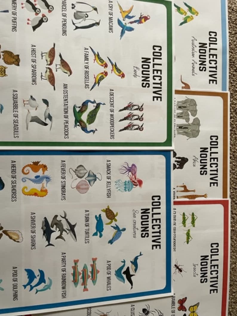 Collective Nouns Display Pack - Etsy