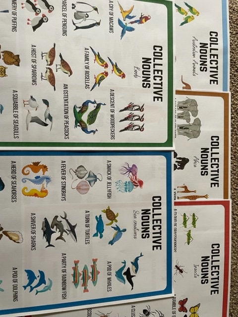 Collective Nouns Display Pack - Etsy