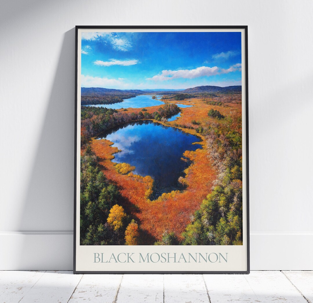 Black Moshannon Travel Print Pennsylvania Reise Poster Wand Kunst Home ...