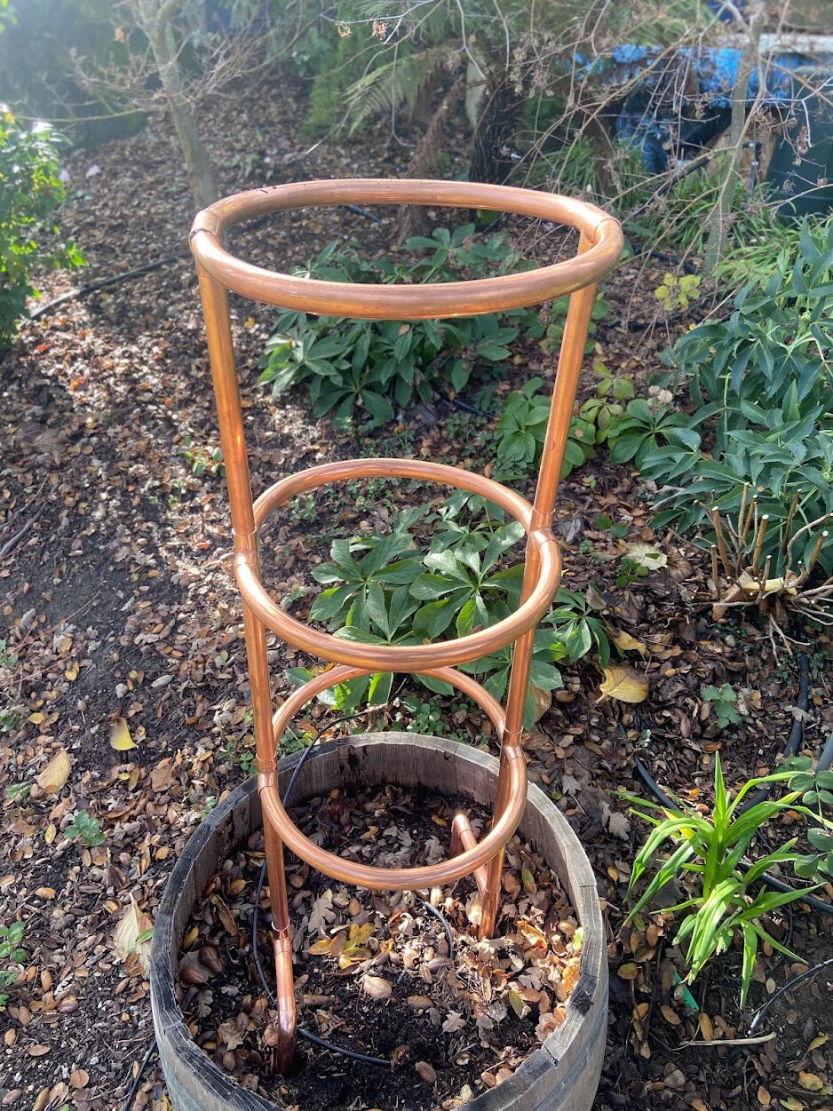 Copper Tomato and Plant Cages - Etsy