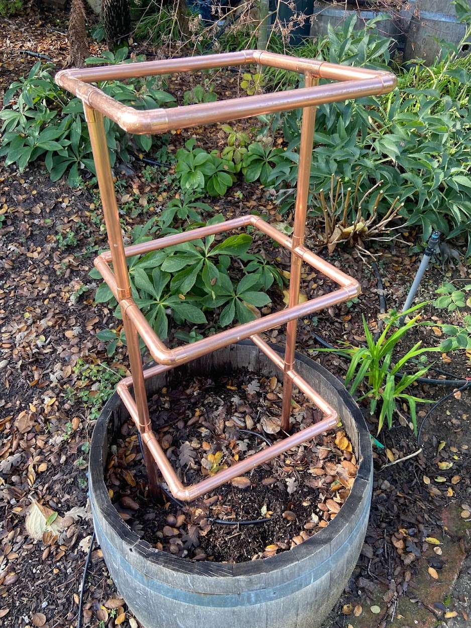 Copper Tomato and Plant Cages - Etsy
