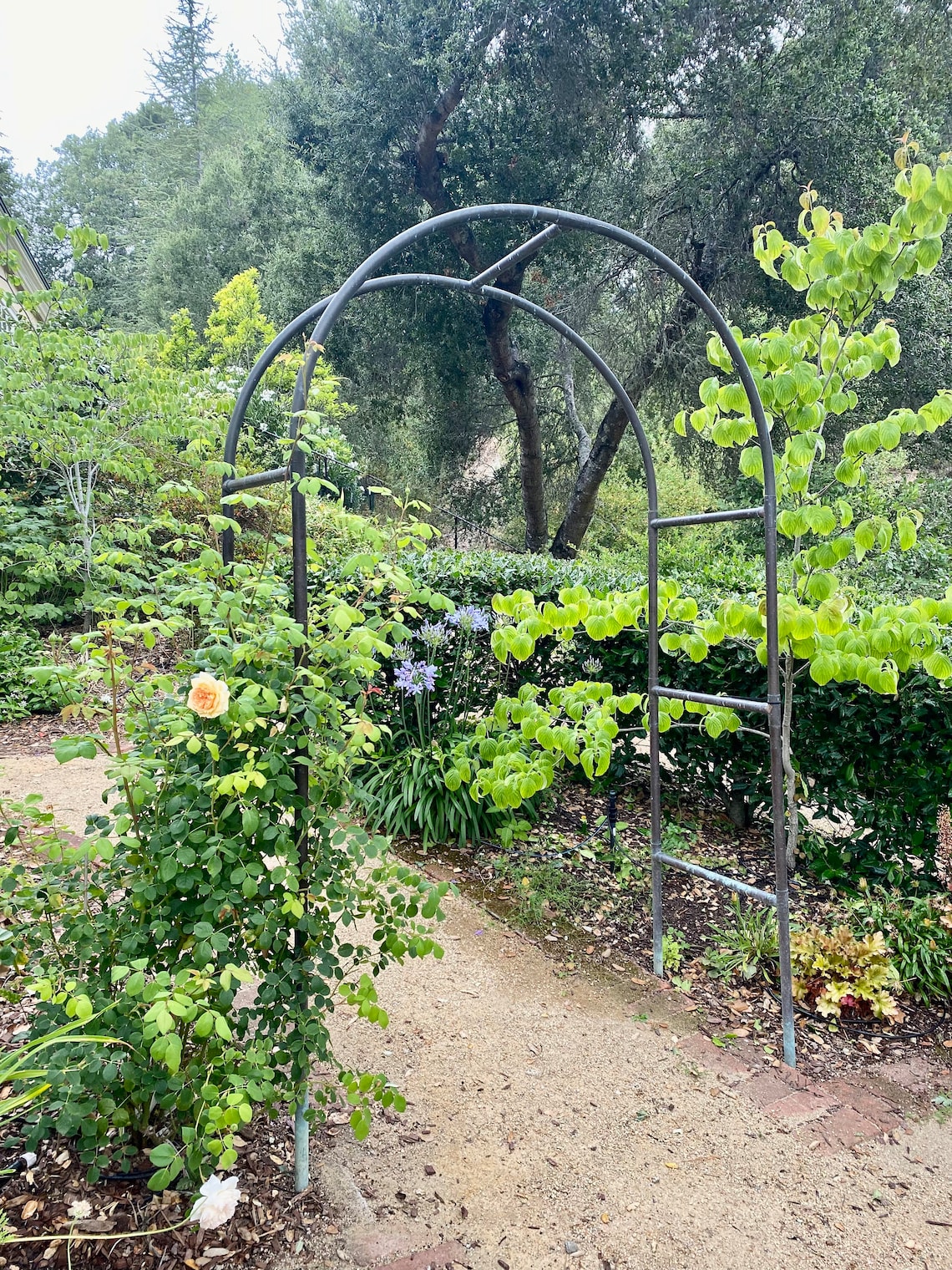 Classic Copper Garden Trellises And/or Wedding Arch - Etsy