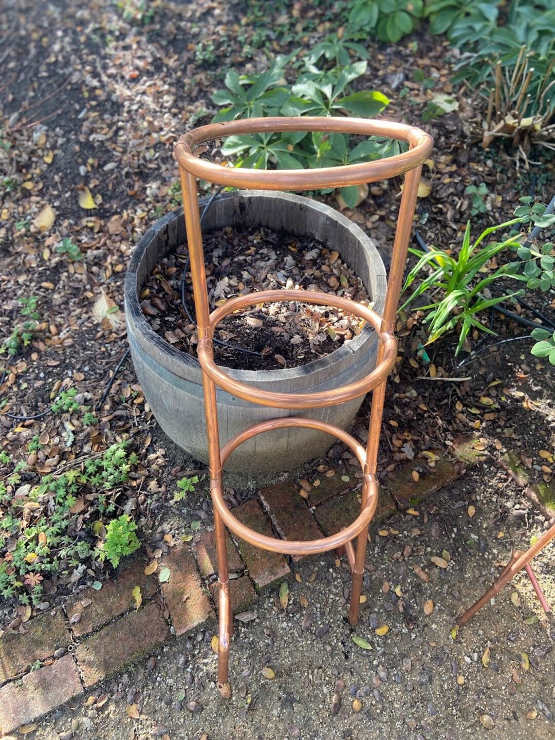 Copper Tomato and Plant Cages - Etsy