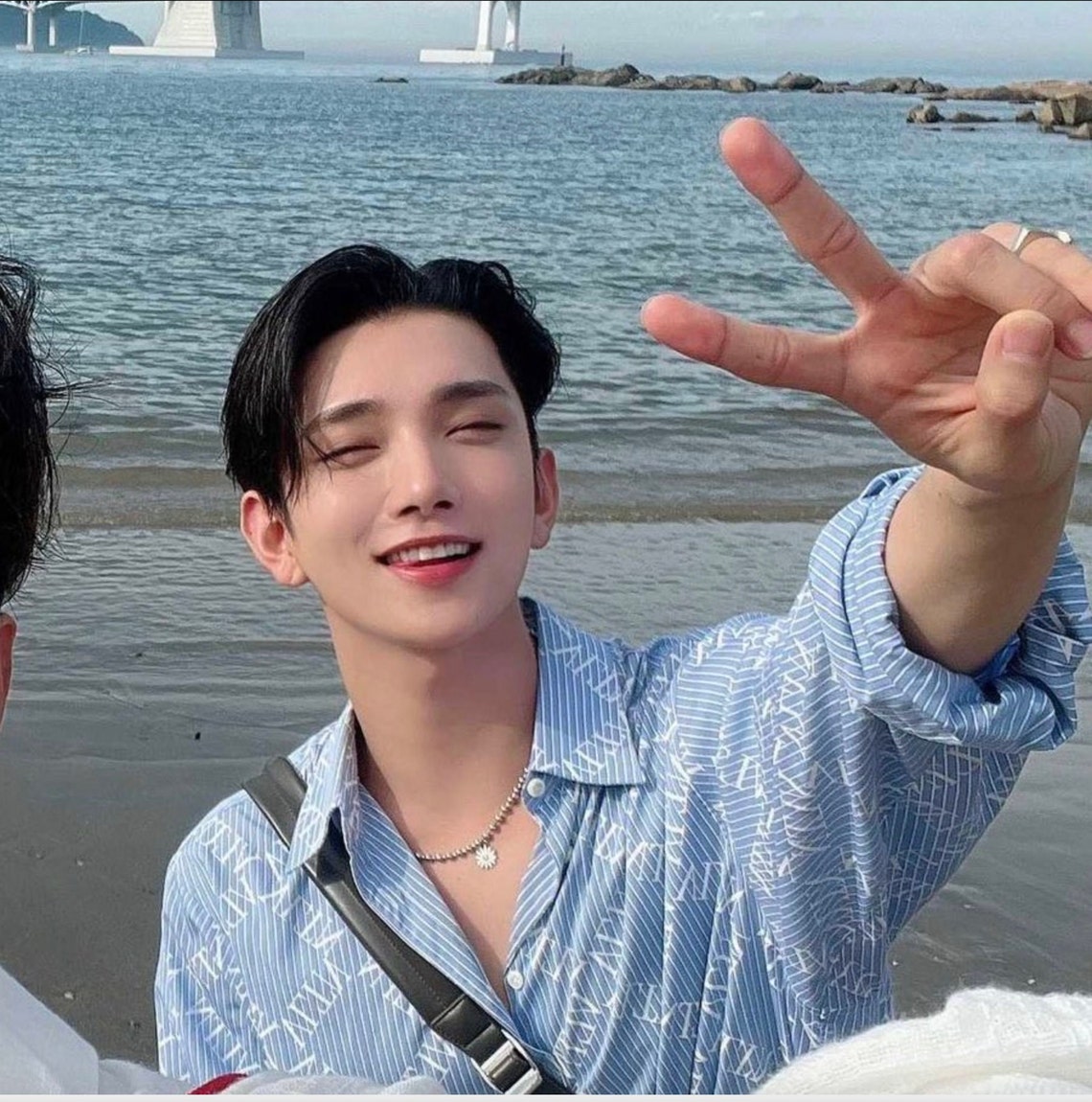 Seventeen Joshua Inspired Daisy Necklace - Etsy