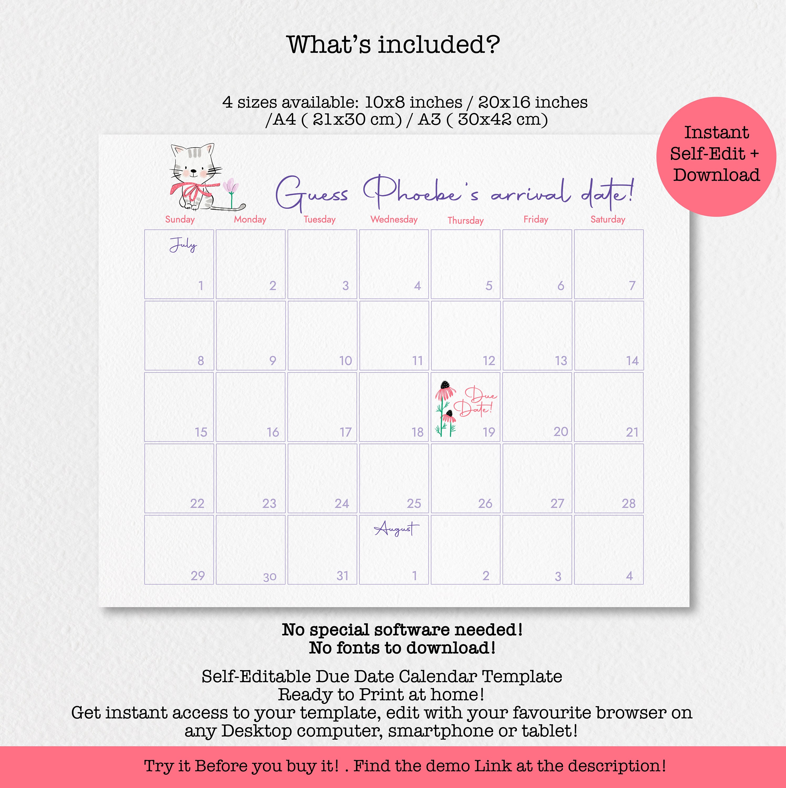 Little Cutie Kitten Guess the Baby Due Birth Date Pool Game - Etsy