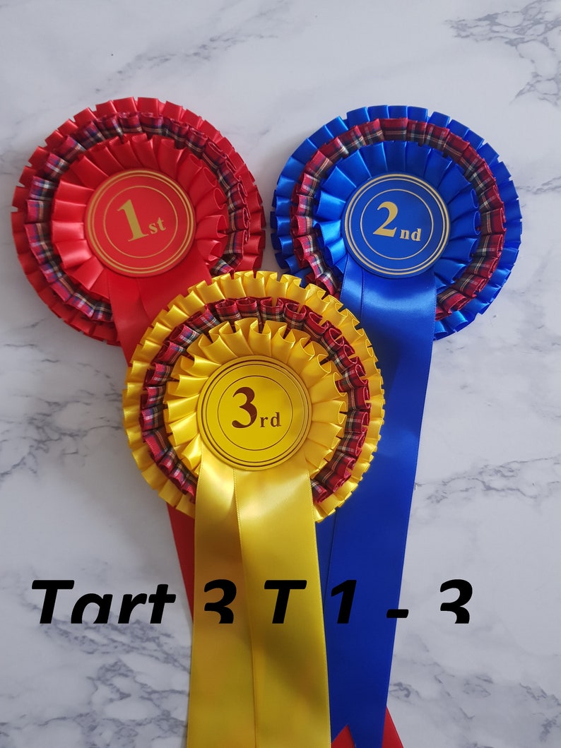 1st to 3rd Place Show Rosettes - Etsy