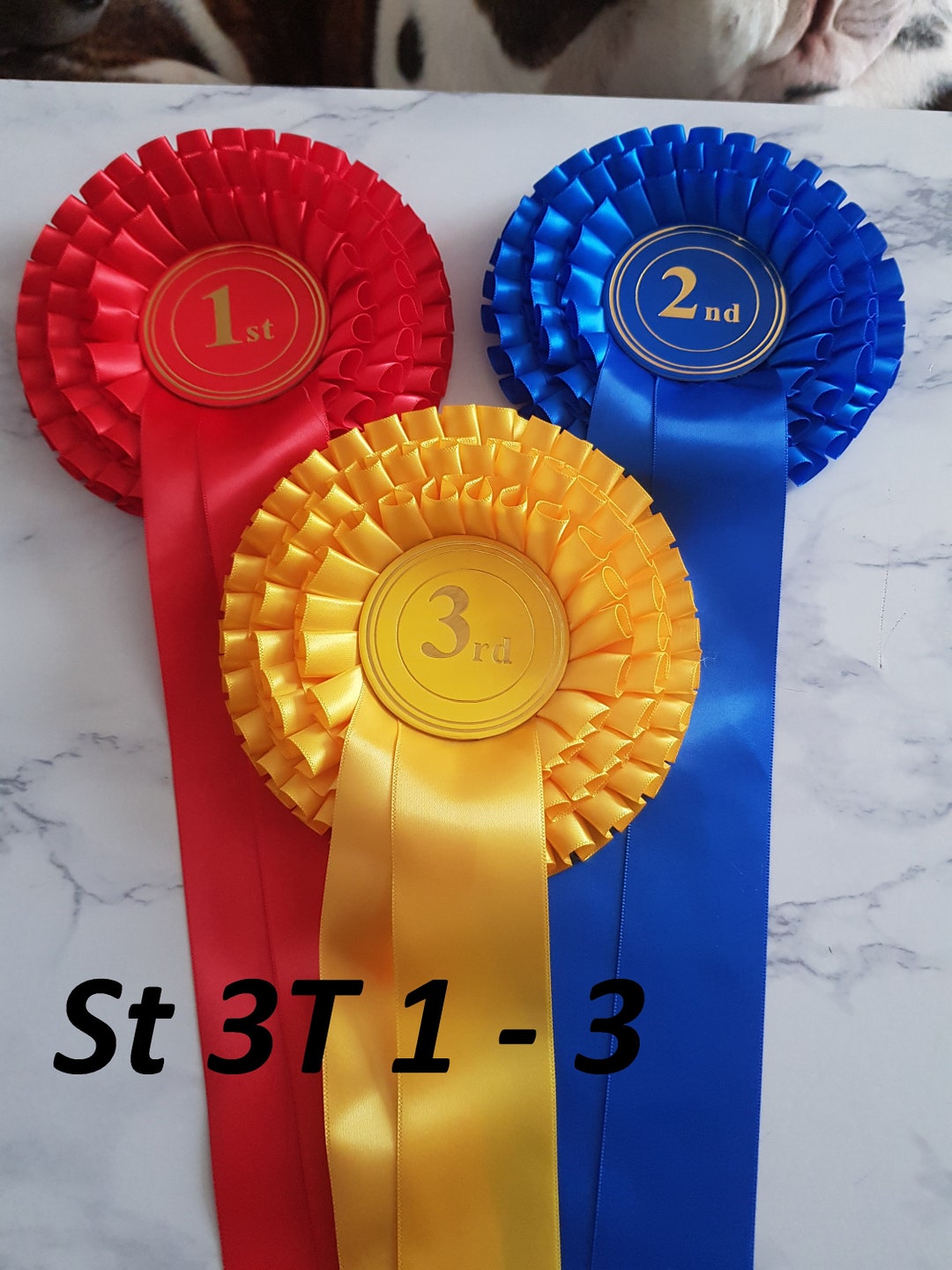 1st to 3rd Place Show Rosettes - Etsy