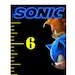 6FT Sonic Growth Chart Removable Wall Flair. Leaves Not Damage or ...