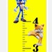 6FT Sonic Growth Chart Removable Wall Flair. Leaves Not Damage or ...