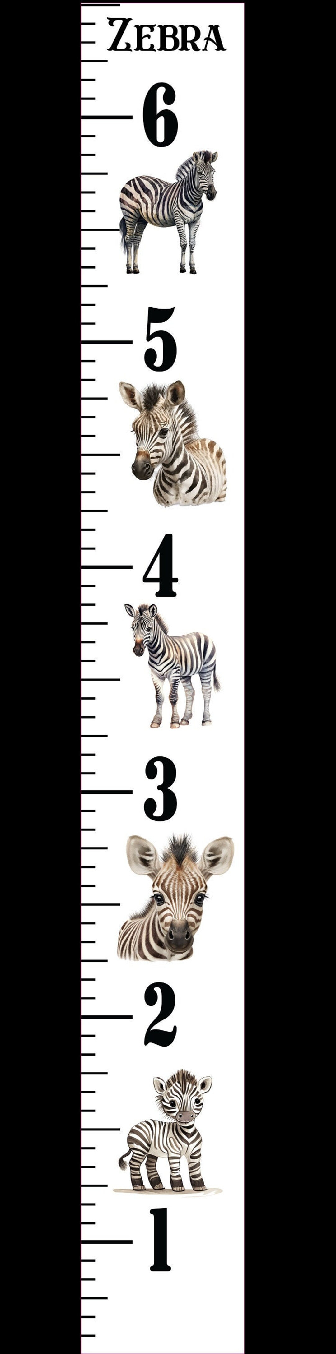 Zebra Life Size Growth Chart - Etsy