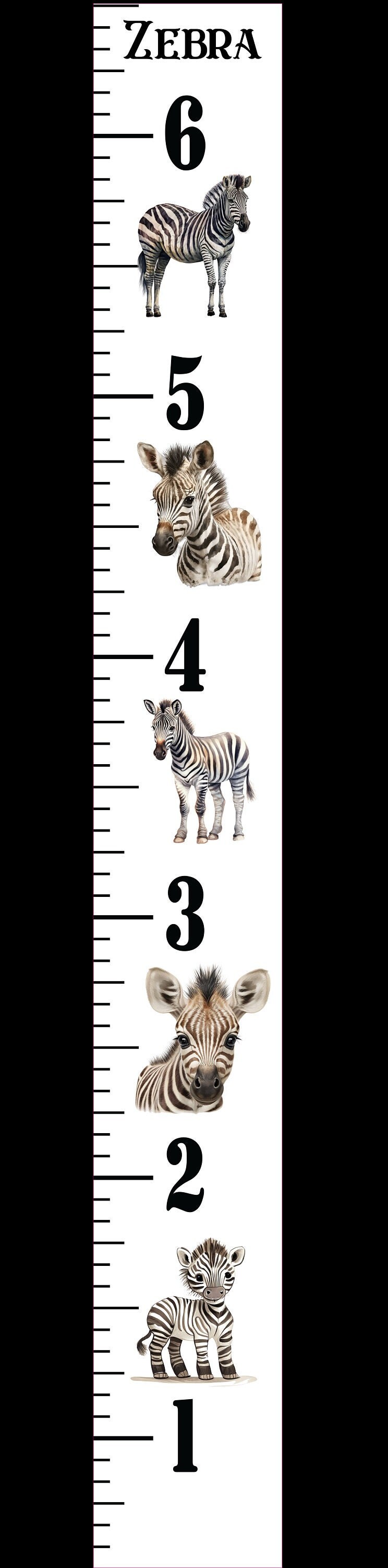Zebra Life Size Growth Chart - Etsy