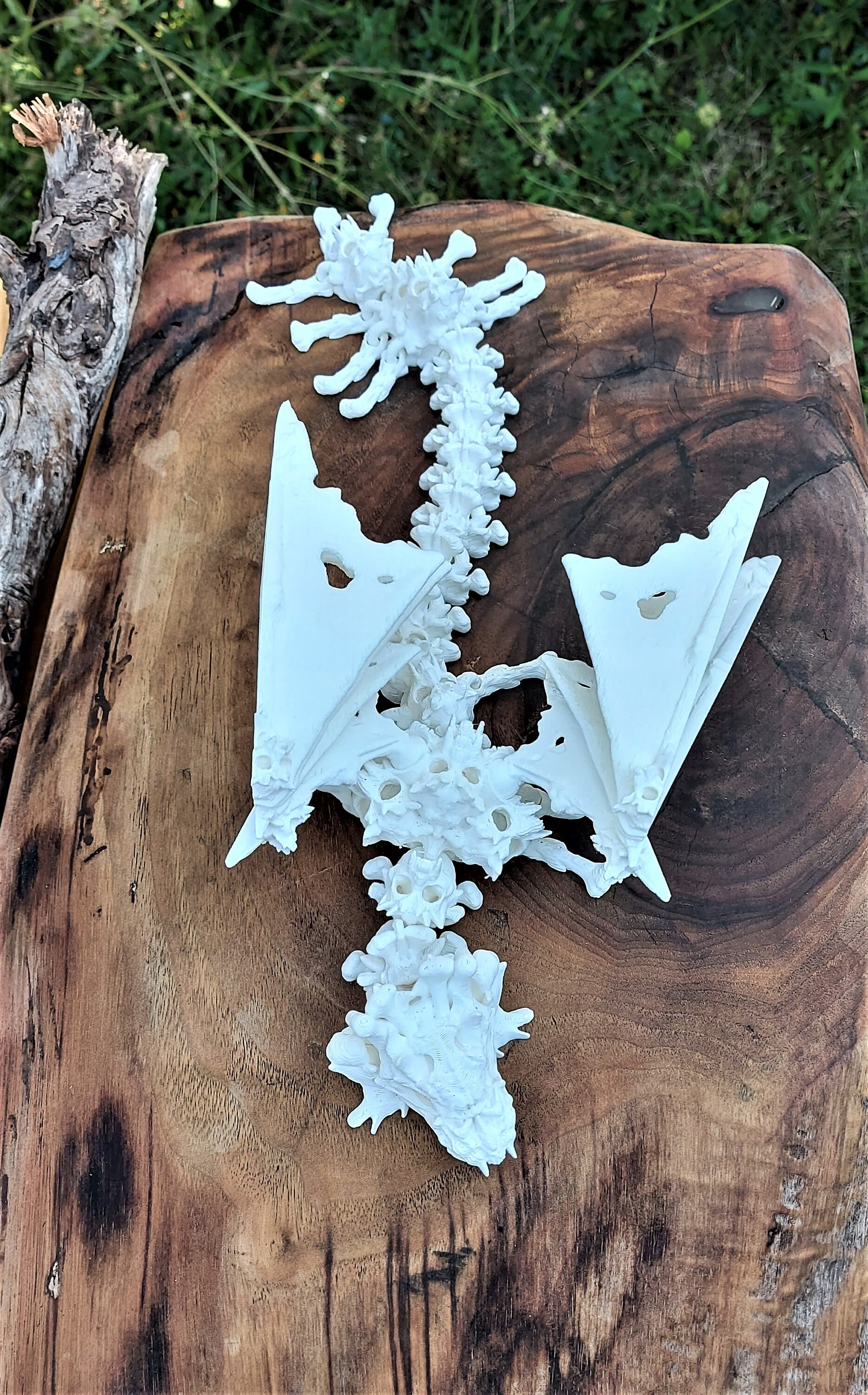 Undead Articulated Winged Hollow Bone Skull Dragon - Etsy