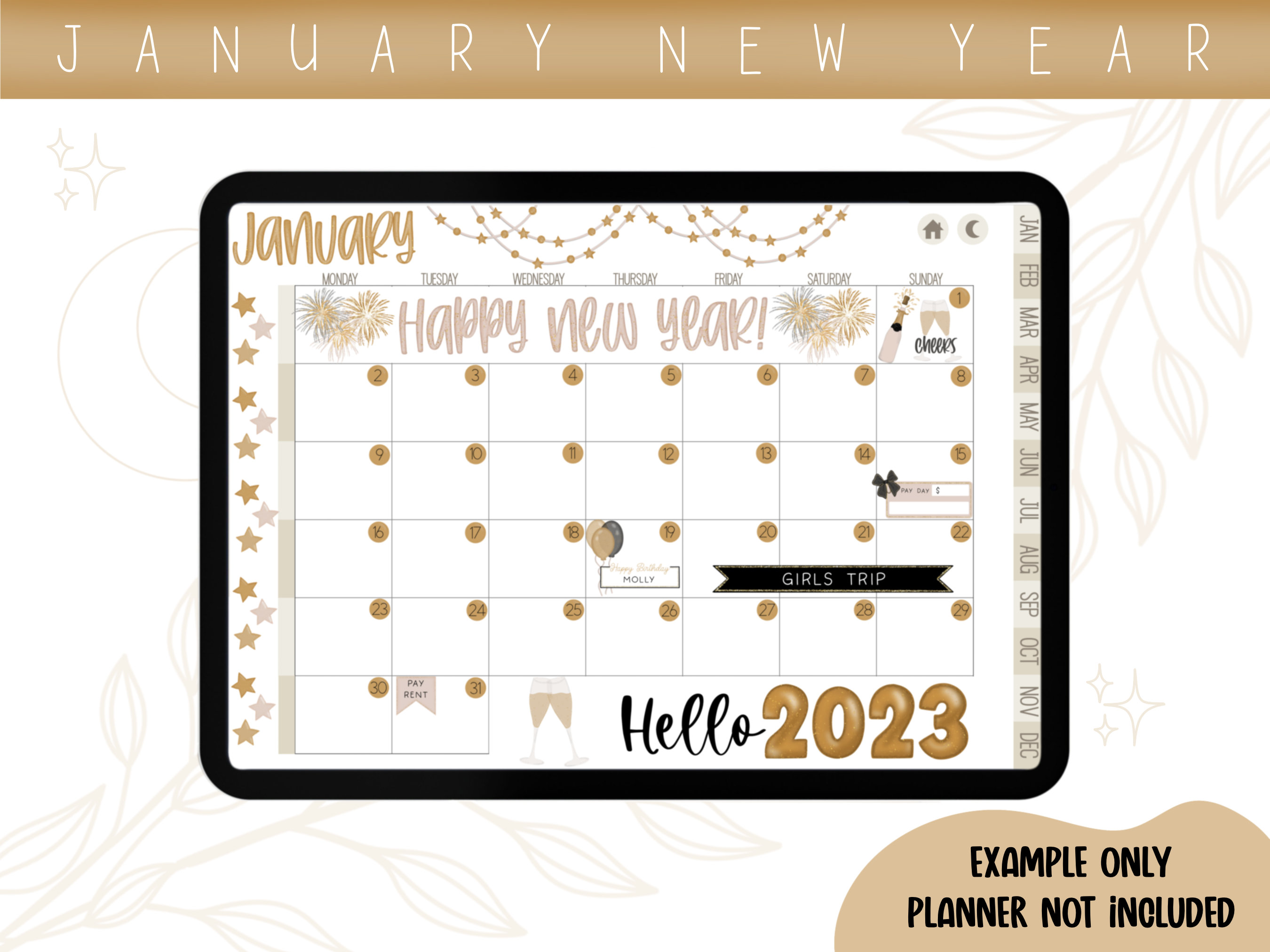 January Digital Sticker Kit- New Year 2023- Goodnotes Files & Pngs ...