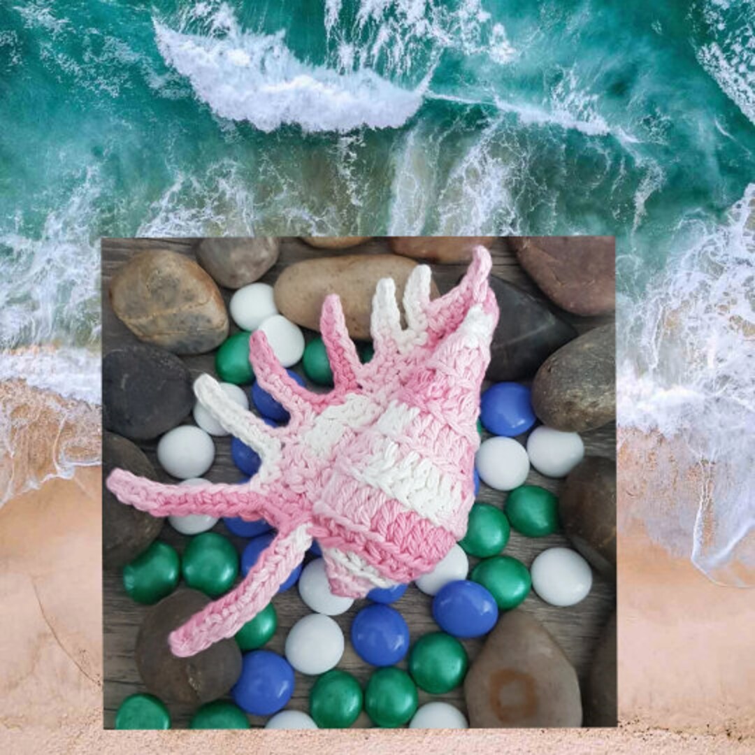 Crochet Spider Seashell PDF Pattern - Etsy