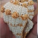 Crochet Conch Seashell Written PDF Pattern - Etsy