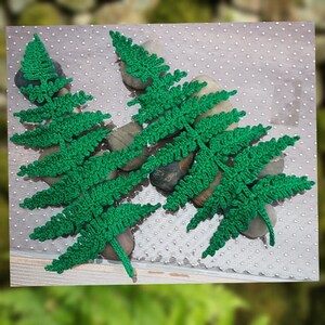 Crochet Fern Leaf Written PDF Pattern - Etsy