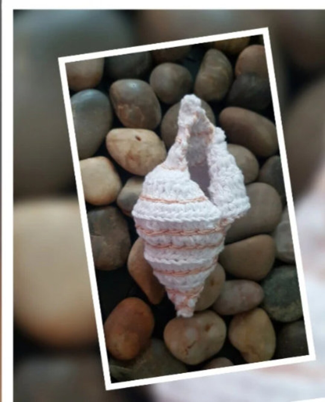 Crochet Banded Tulip Seashell Written PDF Pattern - Etsy