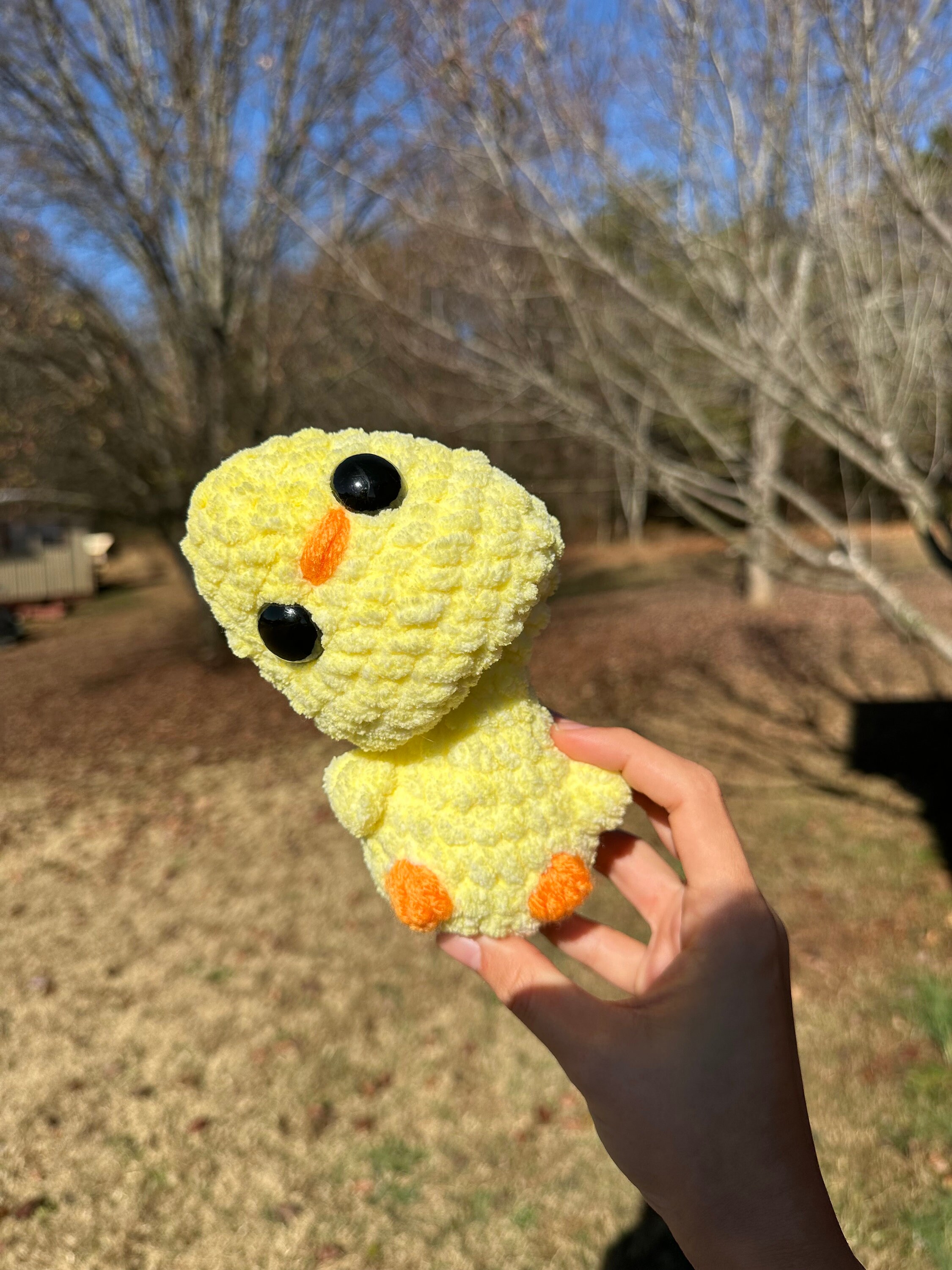 Bird Plushie Fidget Poppable Head Crochet Amigurumi - Etsy Canada