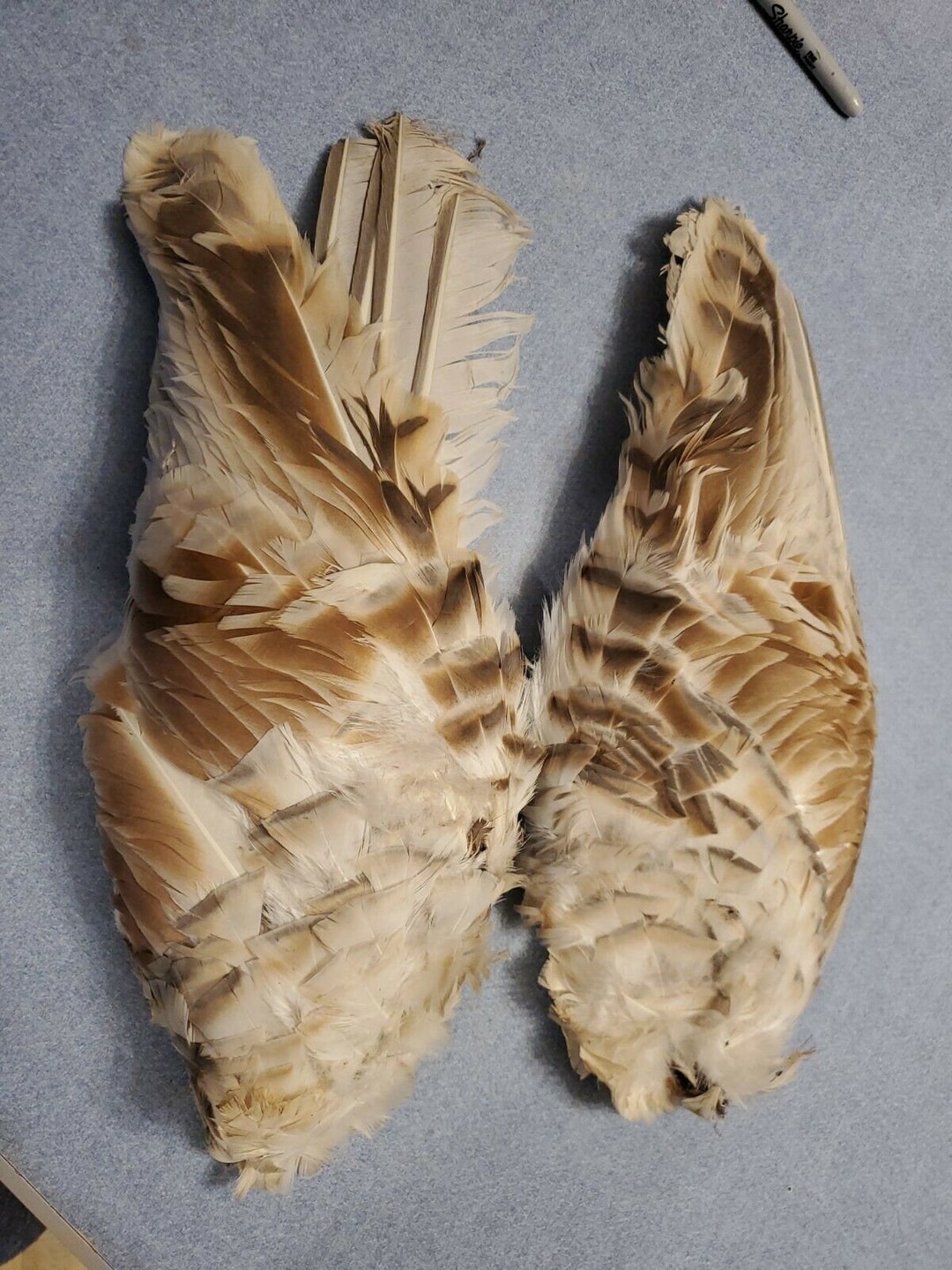 YJJ8 Pair Full Cross Turkey Tail Wing Skin Feathers - Etsy