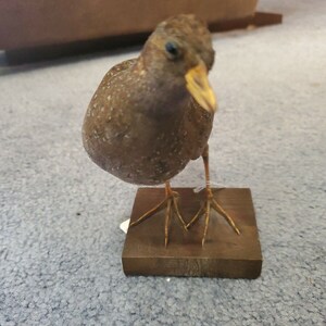 NT62 VTG Spotted Crake Bird Table Pedestal Mount Taxidermy - Etsy