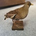 NT62 VTG Spotted Crake Bird Table Pedestal Mount Taxidermy - Etsy