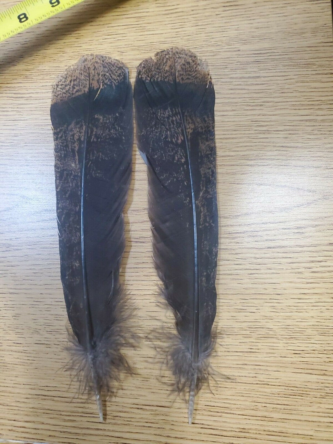 YBH18 Matched Pair Mottled Turkey Natural Colored Tail Feather - Etsy