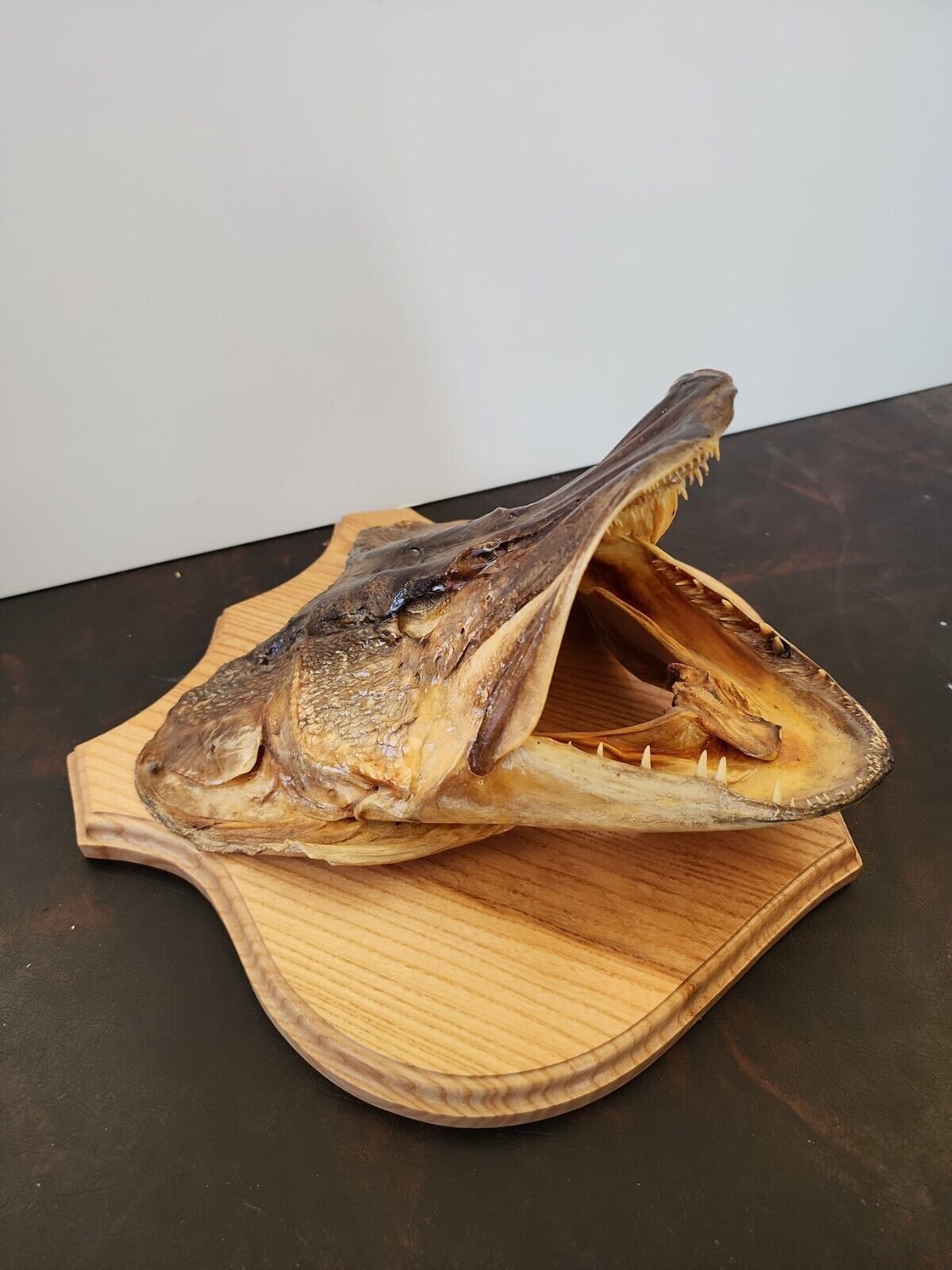 Pike Skull