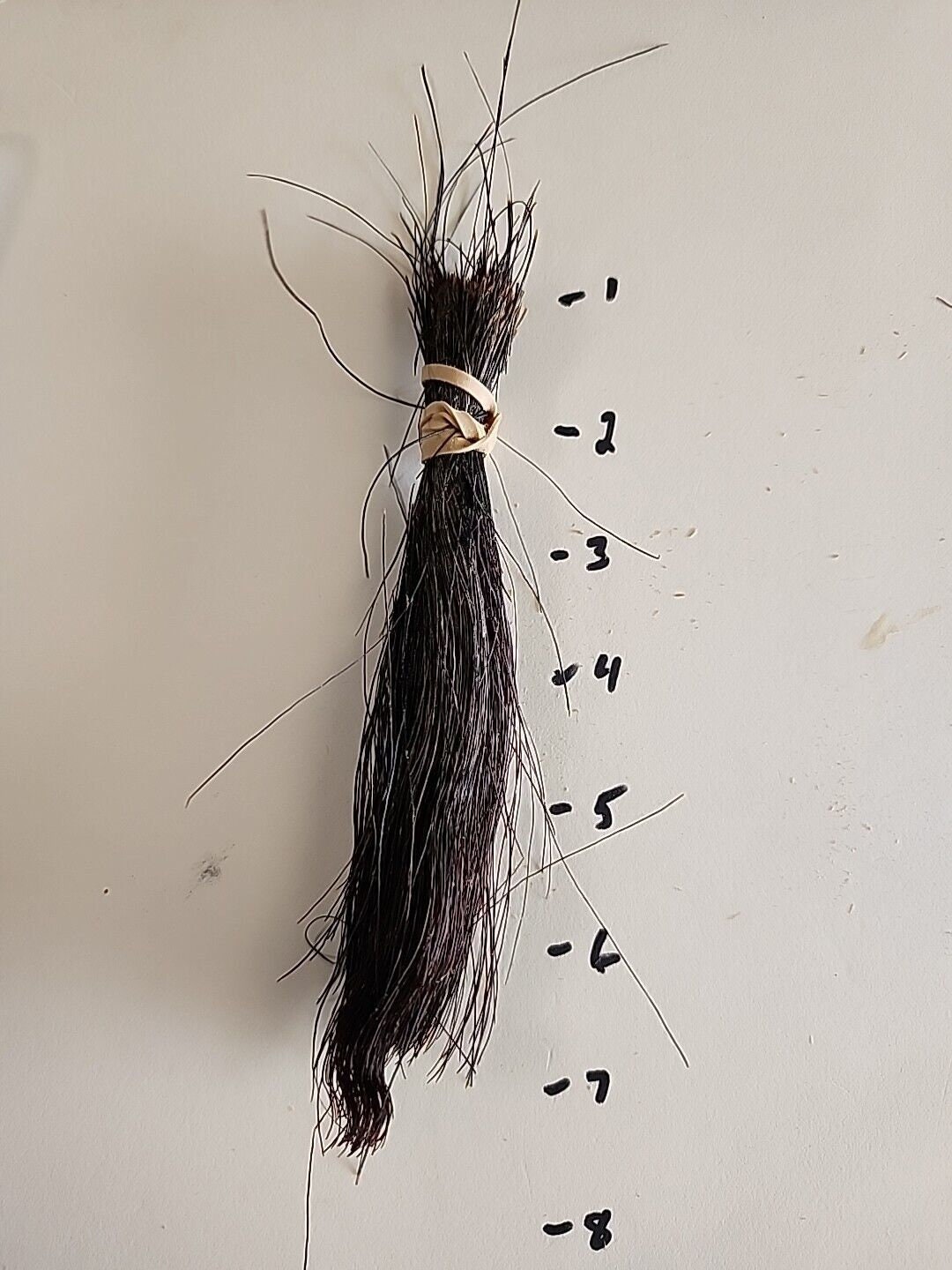 TB53 Real 7 Turkey Beard - Etsy