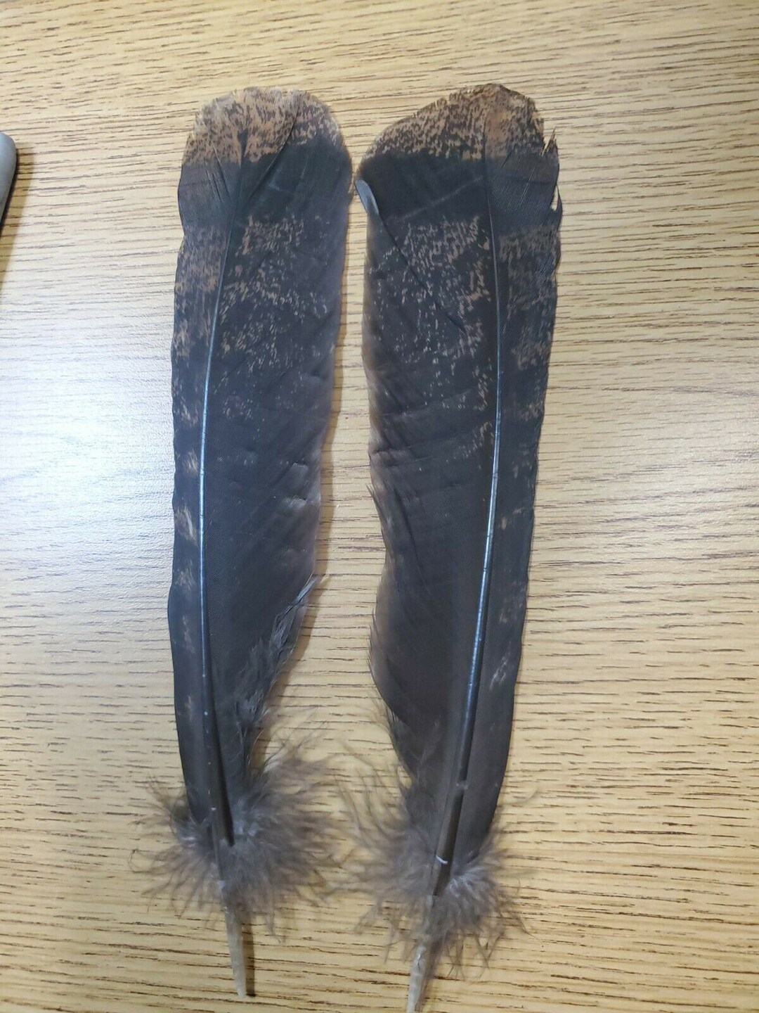 YBH23 Matched Pair Mottled Turkey Natural Colored Tail Feather - Etsy